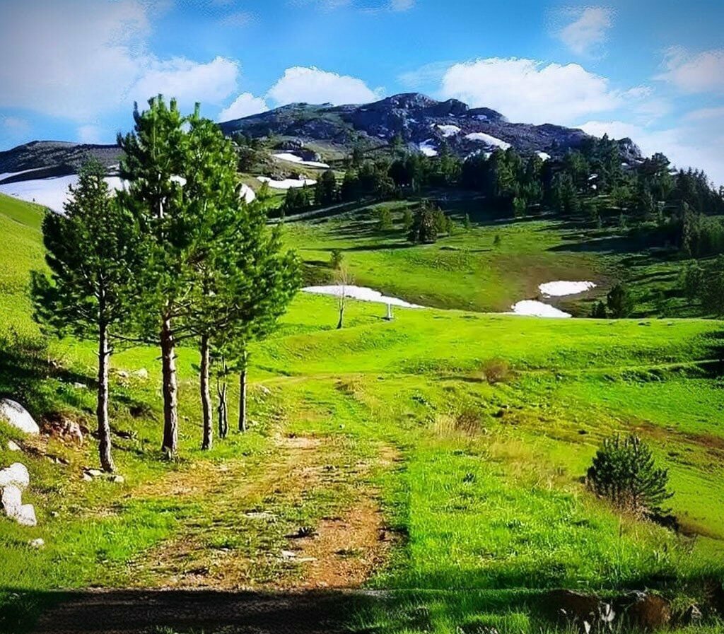 Muhtarlıklar Akarsu Köy Muhtarlığı, Refahiye, foto