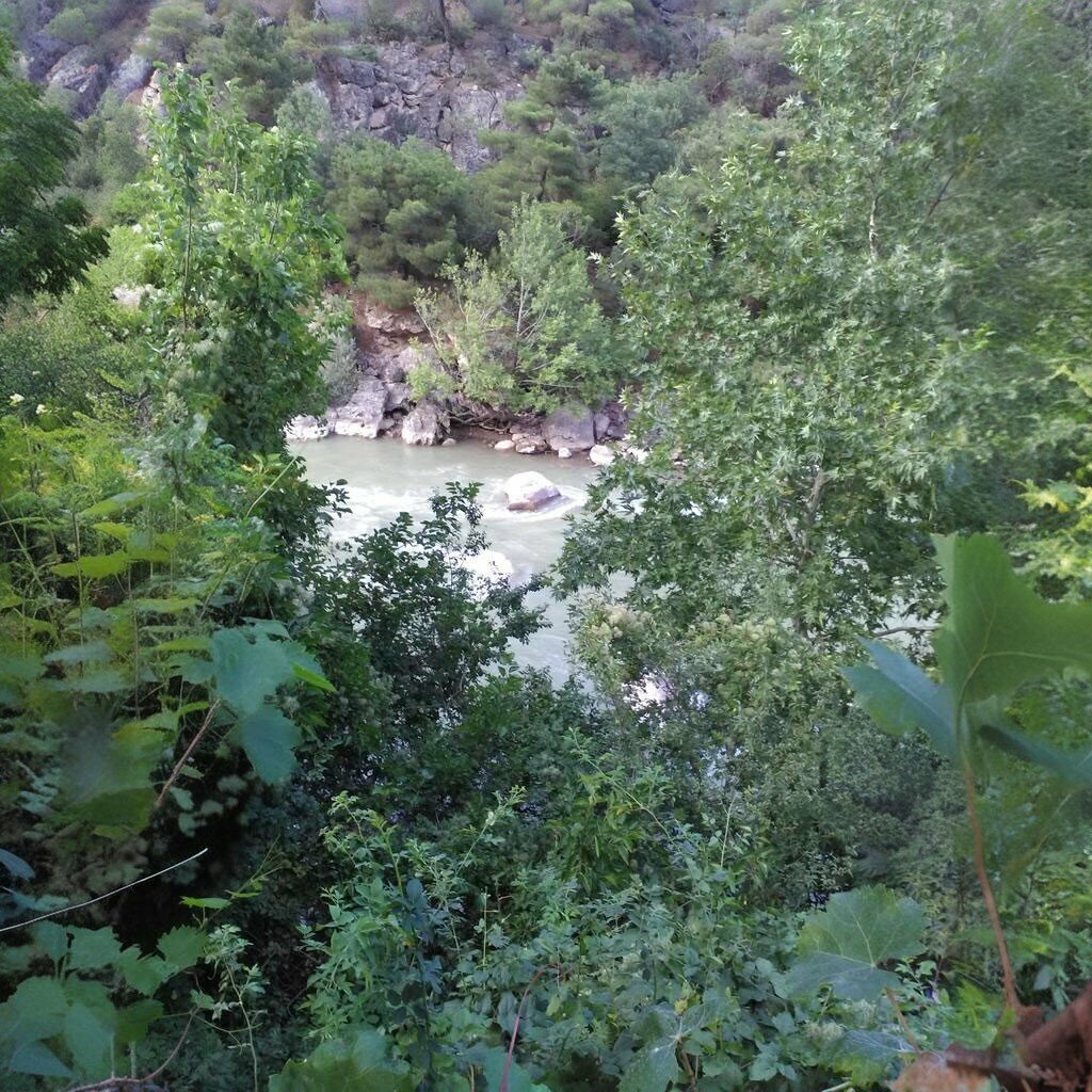 Muhtarlıklar Mutluca Köy Muhtarlığı, Niksar, foto