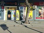 Зоомагазин (Tbilisi, Besarion Chichinadze Street), petshop  Tiflis'ten
