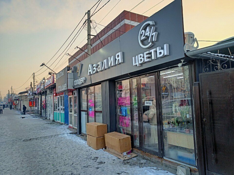 Bahçecilik mağazaları Сады, Bişkek, foto