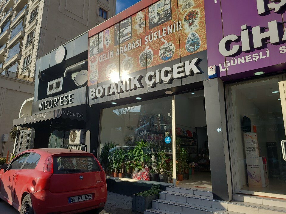 Çiçekçiler Botanik Çiçek, İstanbul, foto