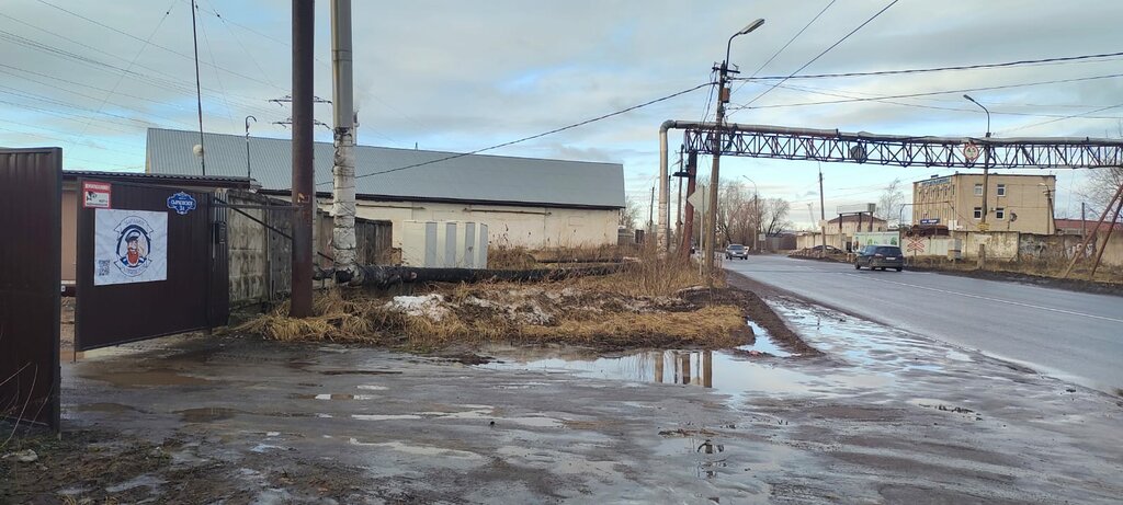 Balık ve deniz ürünleri Рыбинзон, Velikiy Novgorod, foto