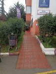 Potanın Aslanları Spor Kulübü (İstanbul, Kartal, Esentepe Mah., Anadolu Cad., 4/1), spor kulüpleri  İstanbul'dan