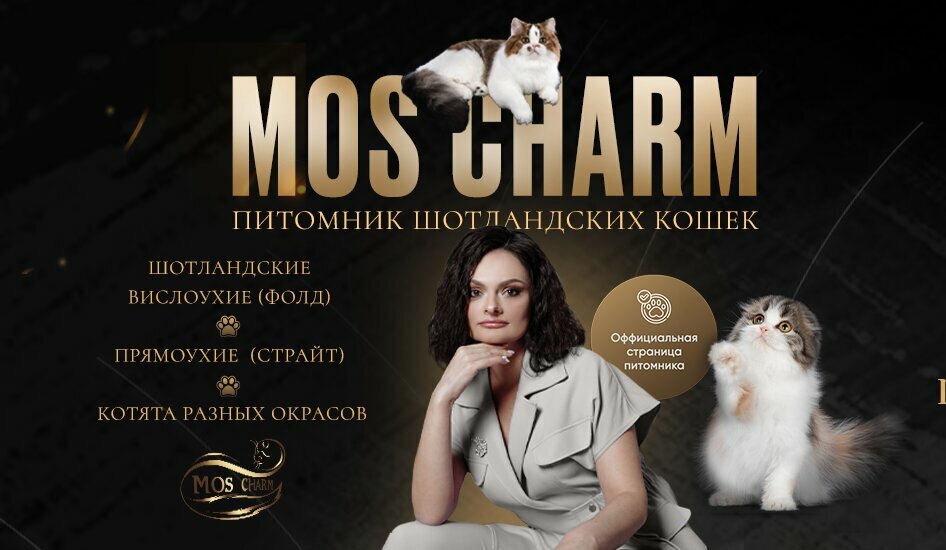 Evcil hayvan yetiştiricileri Mos Charm, Krasnogorsk, foto