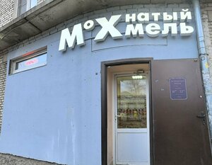 Мохнатый Хмель (Griboedova Street No:125), bira dükkanı  Kovrov'dan