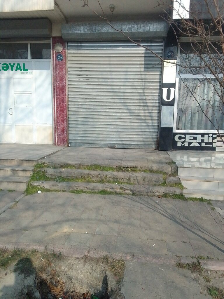 Mefruşat Dərzi, Mingeçevir, foto