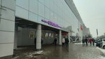 Yamaguchi (Engelsa Avenue No:124к1), masaj koltuğu  Saint‑Petersburg'dan