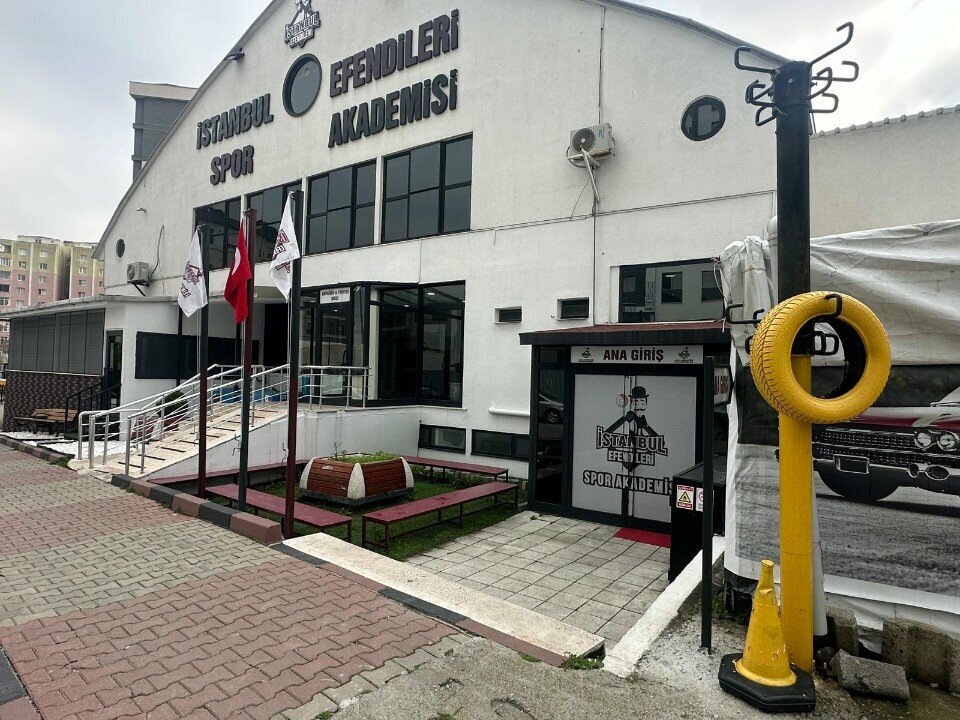 Spor okulları Hidayet Türkoğlu Spor Okulu, İstanbul, foto