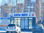 Дары моря 38 (Barrikad Street No:60У), balık ve deniz ürünleri  Irkutsk'tan