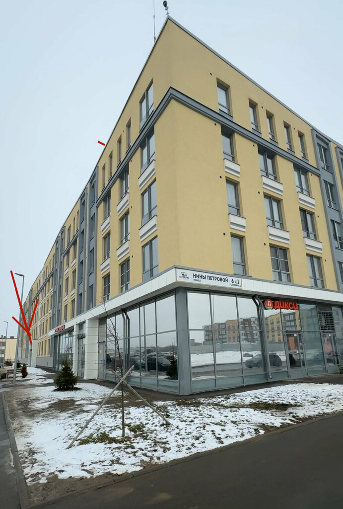 Epilasyon Laser Pro Losk, Saint‑Petersburg, foto