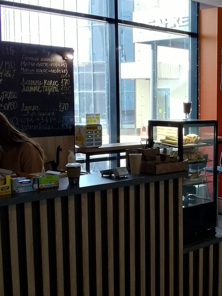 Şarj cihazı kiralama EnerGO, Samarskaya oblastı, foto