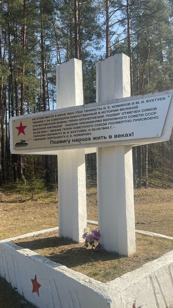 Anıt, heykel Место подвига Бухтуева и Комарова, Gomelskaya oblastı, foto