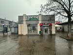 Цветы (Rahačoŭskaja vulica No:5А), çiçekçiler  Gomel'den