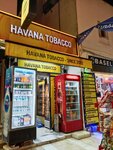 Havana Tobacco (Muğla, Bodrum, Kumbahçe Mah., Atatürk Cad., 66A), alkollü içecekler  Bodrum'dan