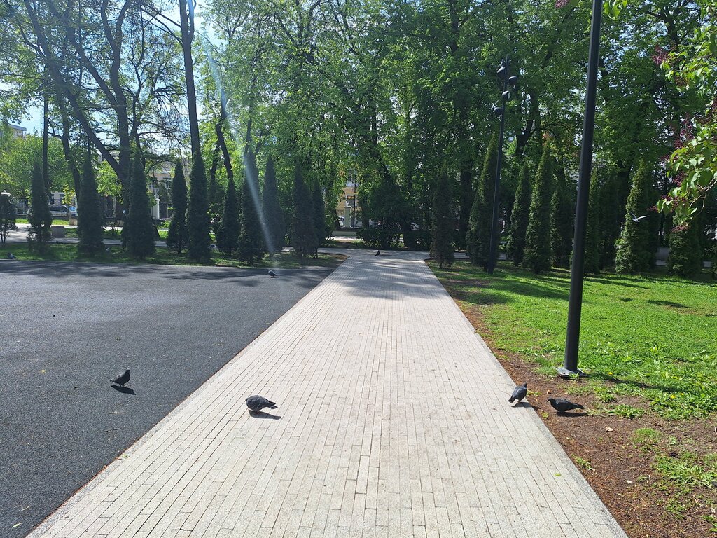 Doğa Сад камней, Riazan, foto