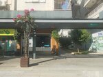 Turkuaz Gayrimenkul Yatırım (Cumhuriyet Mah., Abdi İpekçi Cad., No:62B, Muratpaşa, Antalya), gayrimenkul yönetimi  Antalya'dan