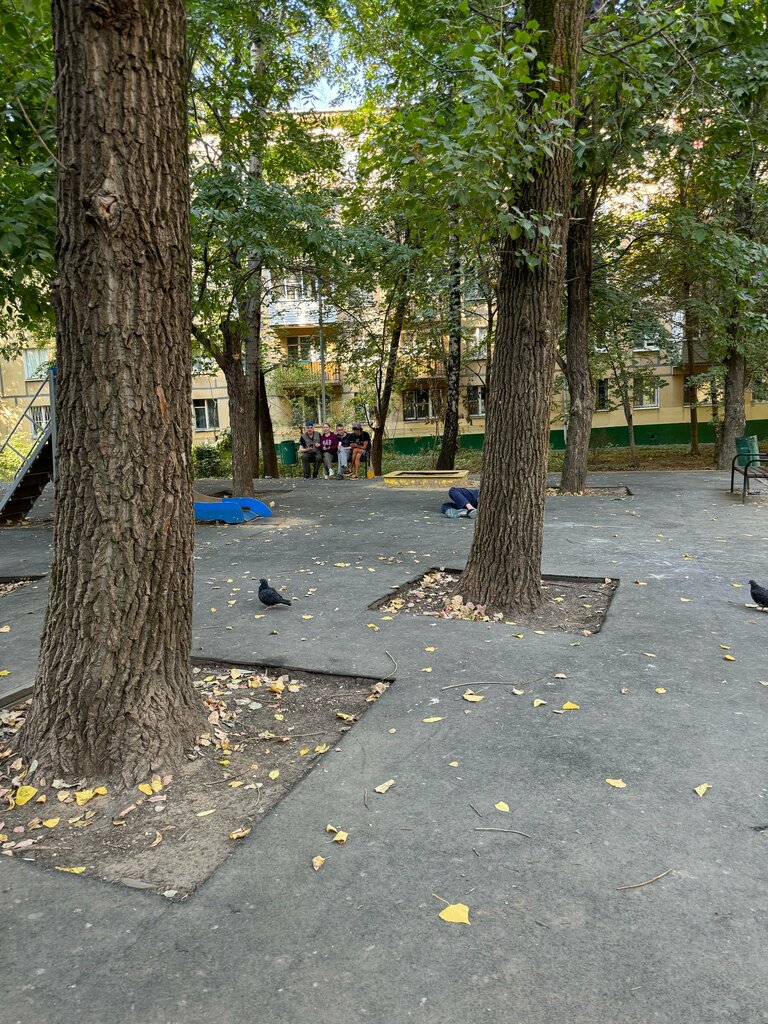 Oyun alanı Playground, Moskova, foto