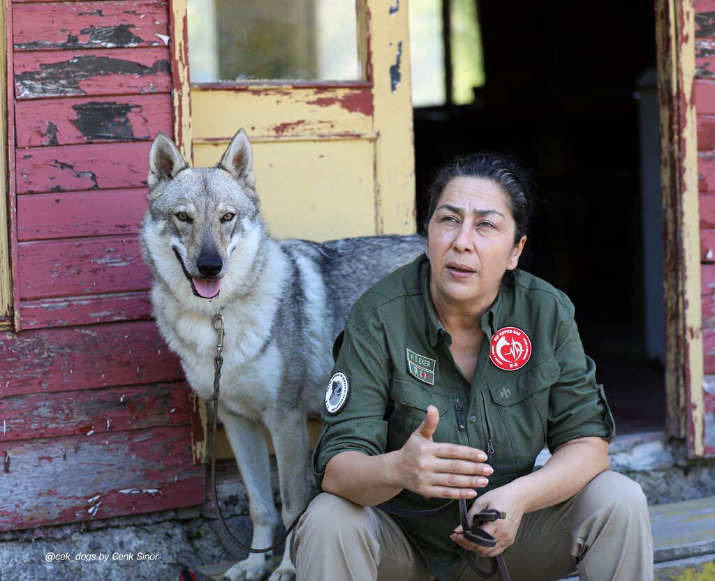 Güvenlik firmaları K9 Güvenlik, İstanbul, foto
