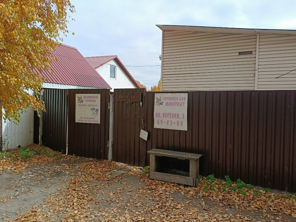 Pet otel Gostinitsa dlya zhivotnykh, Barnaul, foto