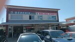 Özdemir Otomotiv (Adana, Seyhan, Yeşiloba Mah., 46120. Sok., 13/18B), otomobil satış galerileri  Adana'dan