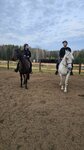 Старт (Sverdlovsk Region, Beryozovskiy gorodskoy okrug), at ve binicilik kulüpleri  Sverdlovskaya oblastından