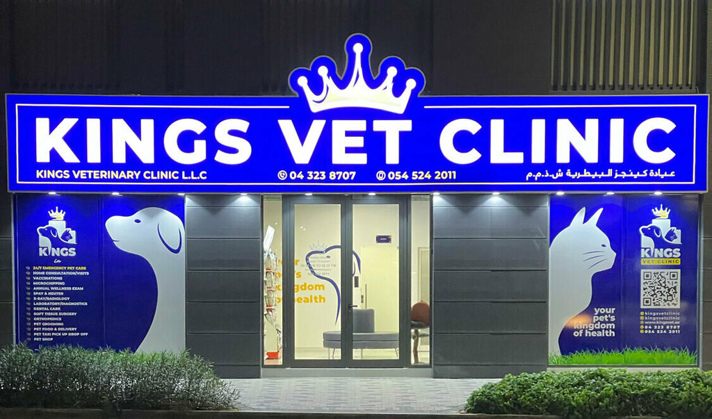Veteriner klinikleri Kings Vet Clinic, Dubai, foto