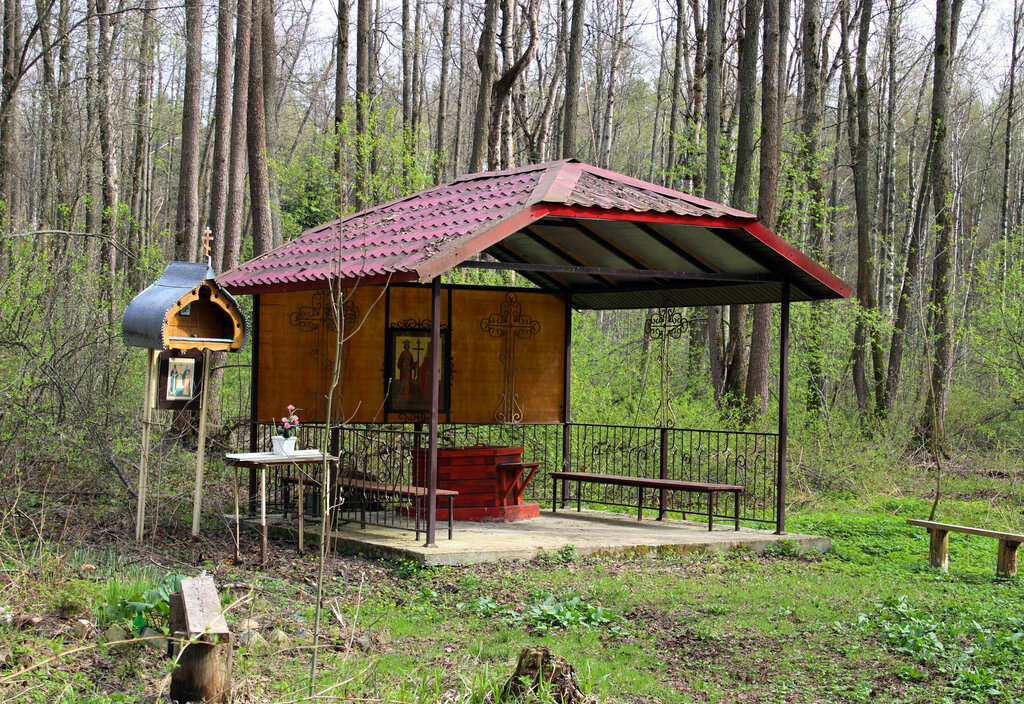 Pınar, çay Spring, stream, Moskova ve Moskovskaya oblastı, foto