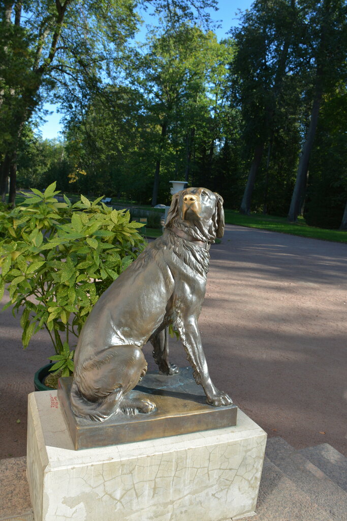 Park, sokak heykeli Собаки, Lomonosov, foto
