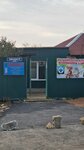 Veterinary Clinic (Rahymbek Sabataev kóshesi No:12), veteriner klinikleri  Kökşetav'dan