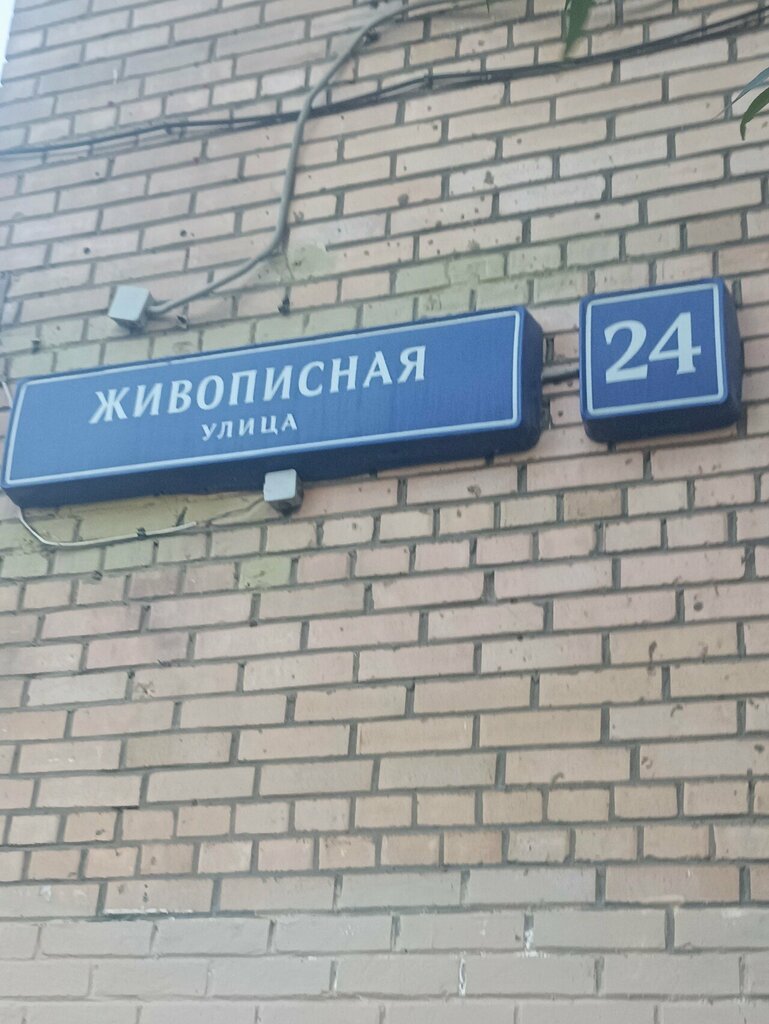 Spor okulları Level Up studio, Moskova, foto