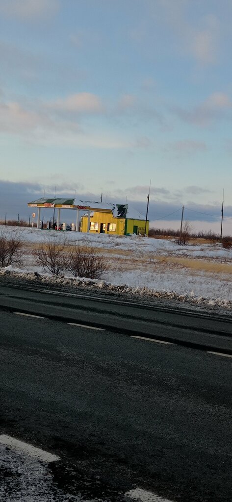 Benzin istasyonu SouldOil, Orenburgskaya oblastı, foto