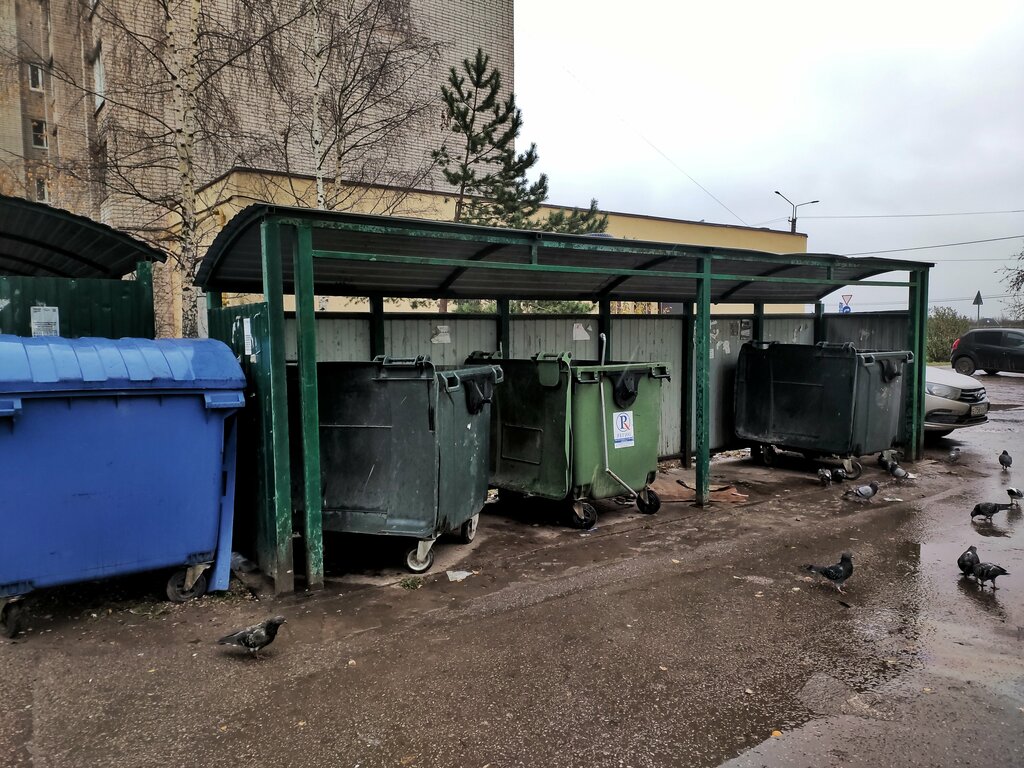 Çöp alanları Trash and garbage disposal area, Novgorodskaya oblastı, foto