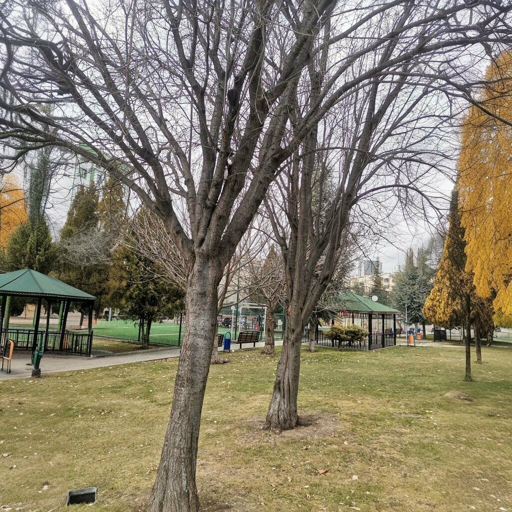 Kültür ve eğlence parkları Yaşar Doğu Spor Parkı, Ankara, foto