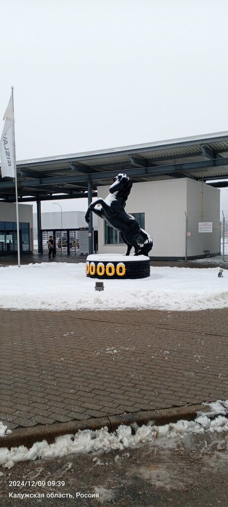 Park, sokak heykeli Конти лошадь, Kalujskaya oblastı, foto