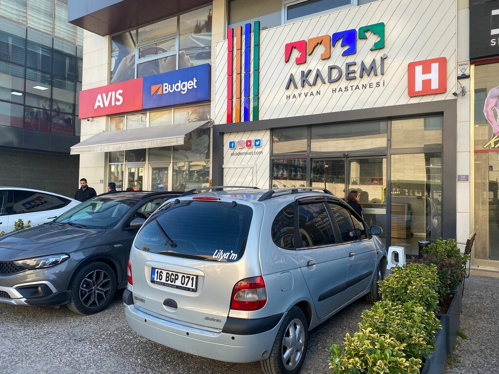 Oto kiralama Avis, Bursa, foto