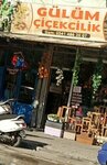 Gülüm Çiçek (Gaziantep, Şehitkamil, Maaşkuyu Cad., 241A), çiçekçiler  Gaziantep'ten