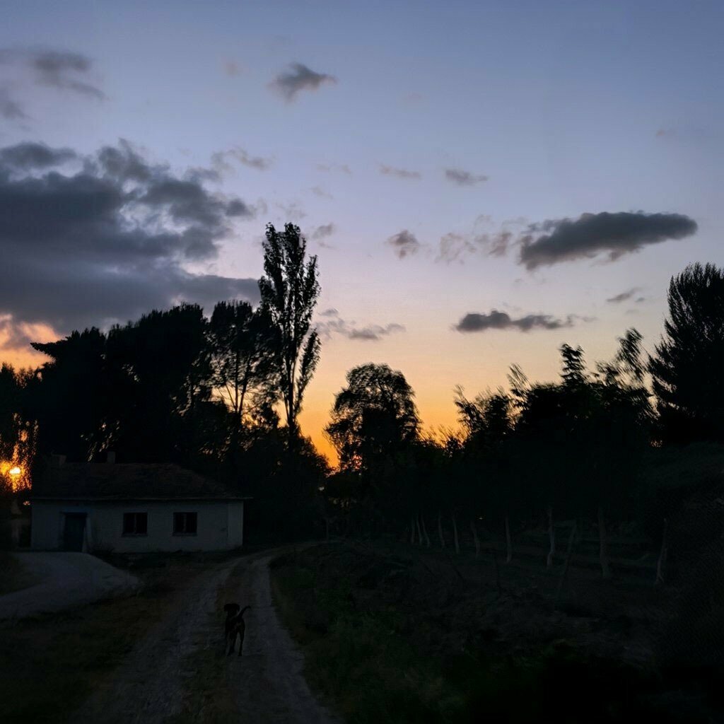 Muhtarlıklar Yarbaşı Köy Muhtarlığı, Niksar, foto