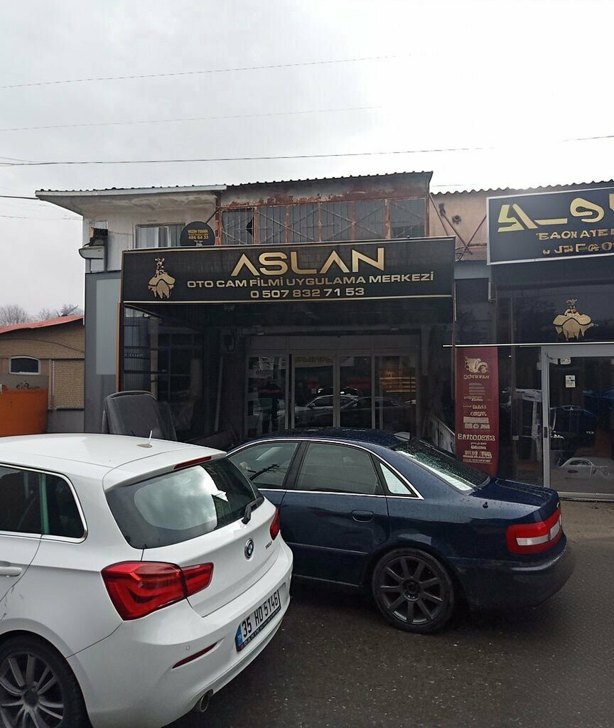 Oto aksesuarları Aslan Oto Aksesuar, İzmir, foto