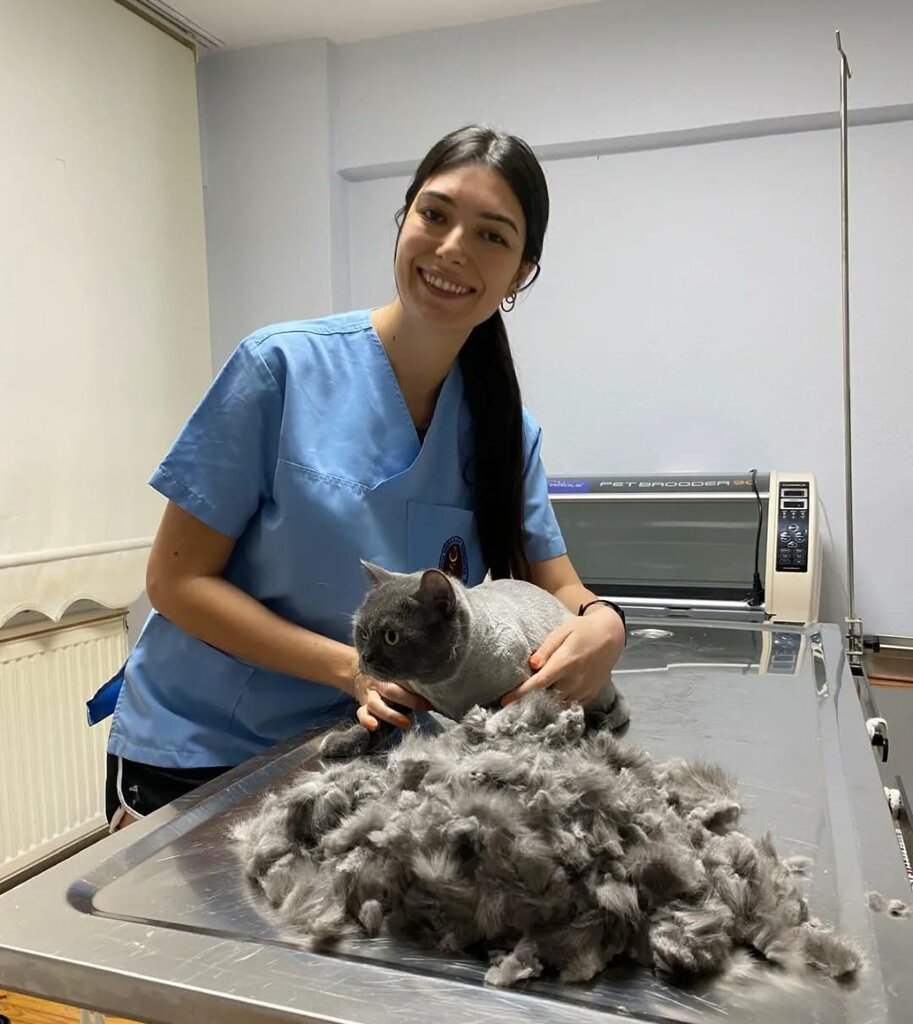 Veteriner klinikleri Yayla Veteriner Kliniği, Efeler, foto