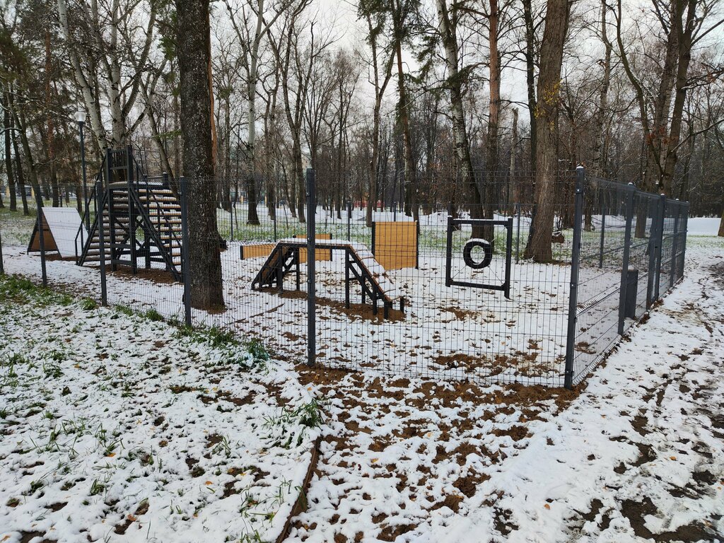 Köpek gezdirme alanları Dog park, Kolomna, foto