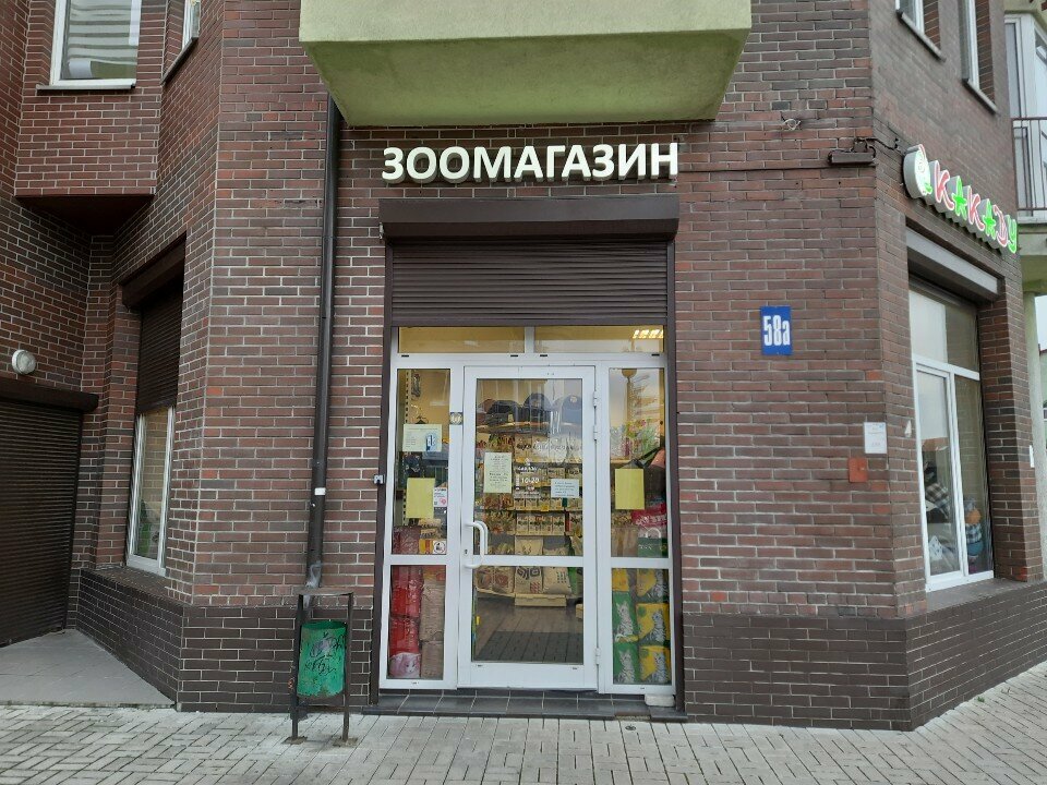 Petshop Magazin Kakadu, Kaliningrad, foto