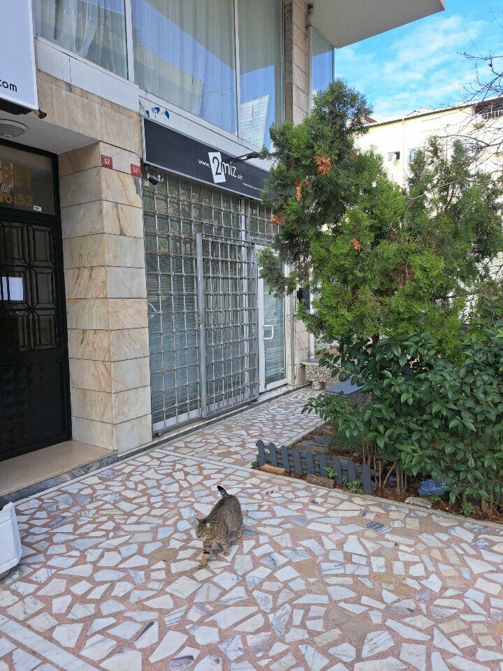 Fotoğraf hizmetleri 2miz, İstanbul, foto