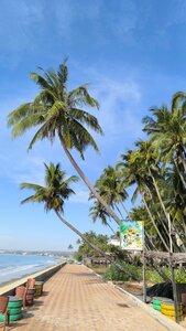 Муйне (Bình Thuận Province, Phan Thiết), plaj  Phan Thiet'ten