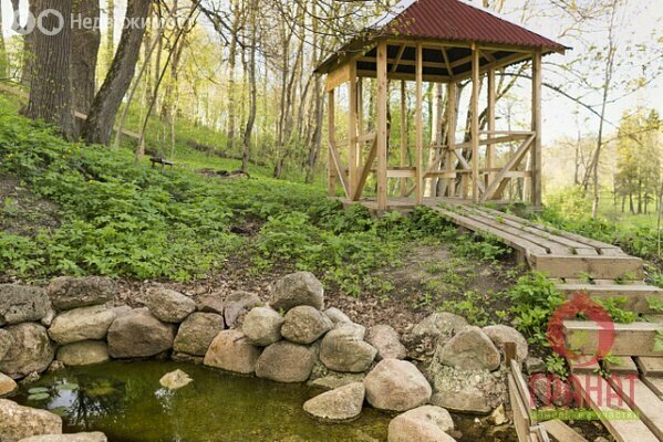 Yazlık yerleşim Лисички, Saint‑Petersburg ve Leningradskaya oblastı, foto