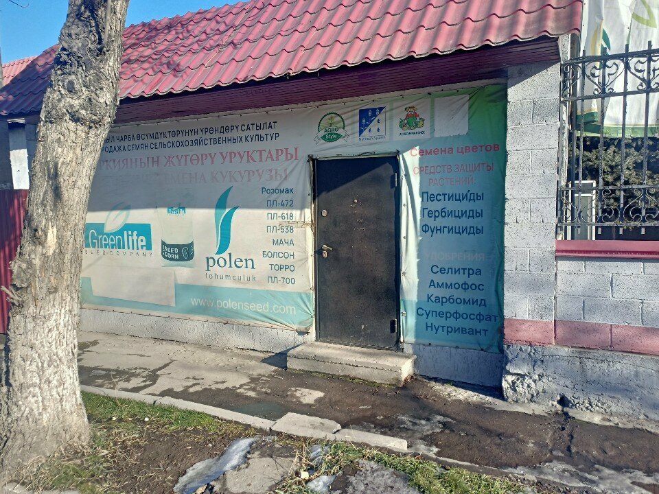 Tohum satan yerler Agro Horizon, Bişkek, foto