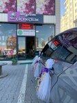 Beylem Çiçek (Şanlıurfa, Karaköprü, Eyyüp Cenap Gülpinar Blv.), çiçekçiler  Karaköprü'den