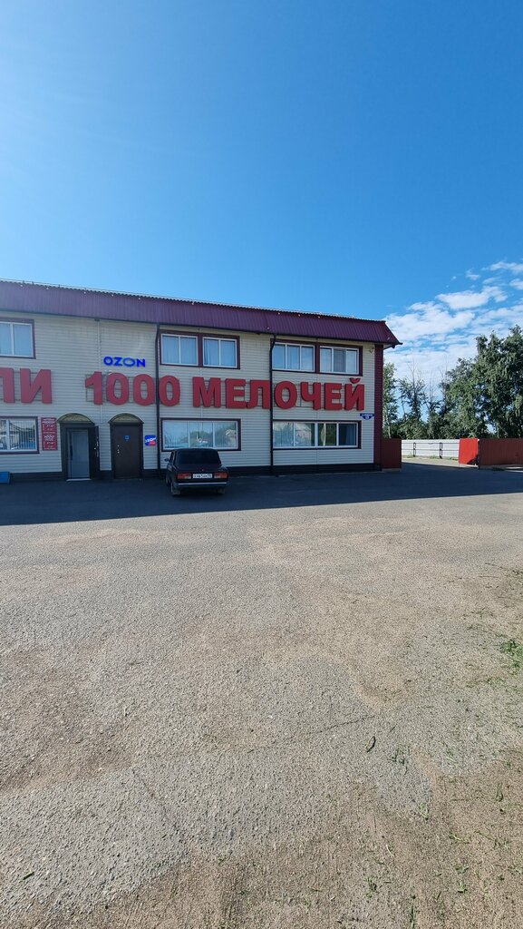 Ev temizlik ürünleri 1000 мелочей, Omskaya oblastı, foto