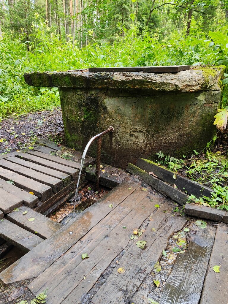Pınar, çay Spring, stream, Kalujskaya oblastı, foto