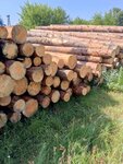 Пилорама (Tsentralnaya ulitsa No:1Д, posyolok Putyovka), kereste üretim ve satış şirketleri  Brianskaya oblastından