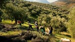 2000 Ayvalık Zeytin ve Zeytinyağları (Fevzi Paşa Mah., Gümrük Cad., No:43, Ayvalık, Balıkesir), gıda üreticileri  Ayvalık'tan